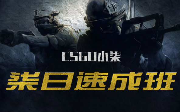 CSGO教学 . [柒日速成班]