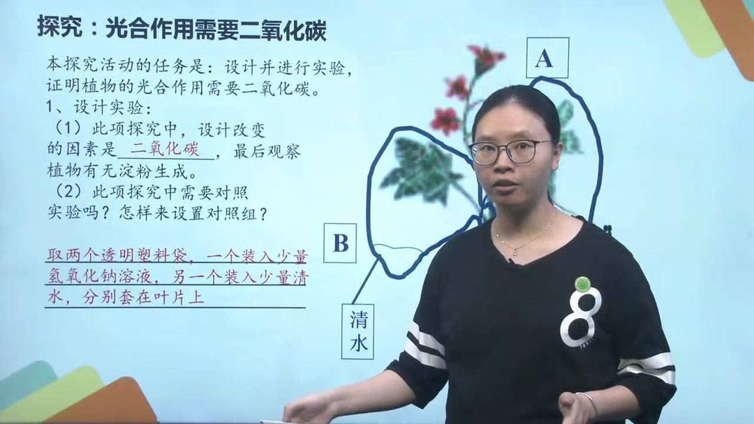 3.6.3光合作用的原料