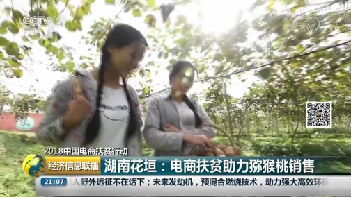 [经济信息联播]2018中国电商扶贫行动 湖南花垣:电商扶贫助力猕猴桃...