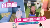 我的世界:没用的小知识,303被戏弄,白喵被驯服