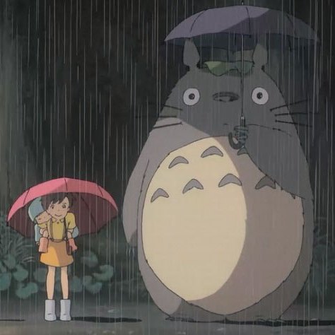 爱画画的龙猫 