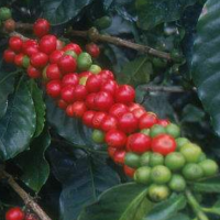 大鱼用户1572575835033758 