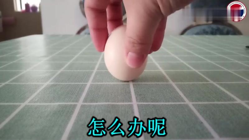 三年级科学小实验(第一周)