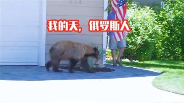 棕熊在路上散步,不料转角遇到俄罗斯人,镜头拍下搞笑画面