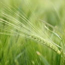 吃零食的ߘ�！ߘ�！ߘ�！ߘ�！ߎ 