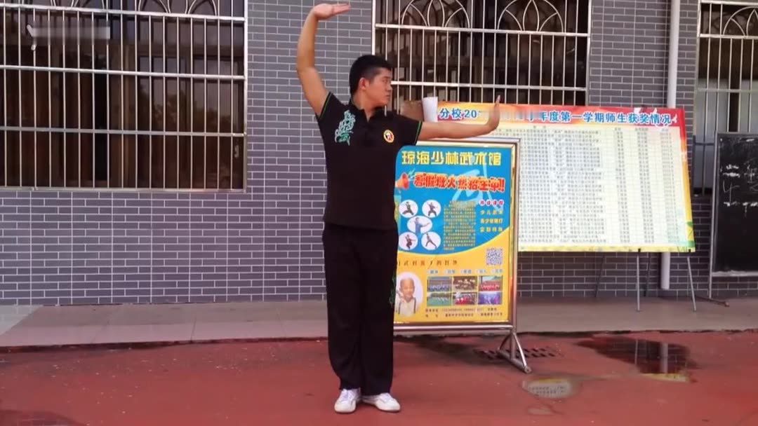 视频: 精忠报国教学视频分解动作第三节