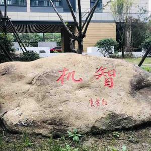 橙子的思维空间 