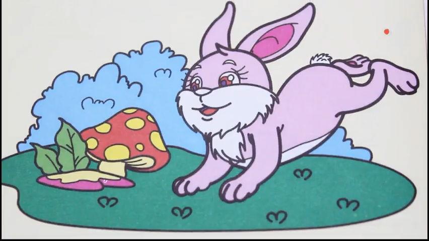 2-6岁幼儿园宝宝简笔画涂色 小兔子涂色 龟兔赛跑故事