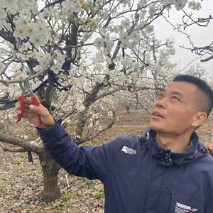 唐老师果园种植大讲堂 