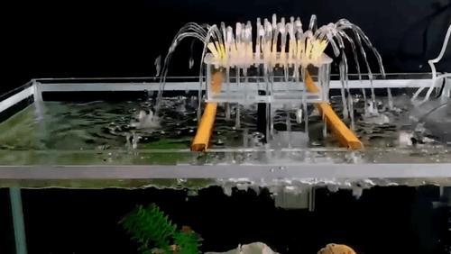 实拍外手工达人给鱼缸自制一个喷泉小装置,网友确实有意思