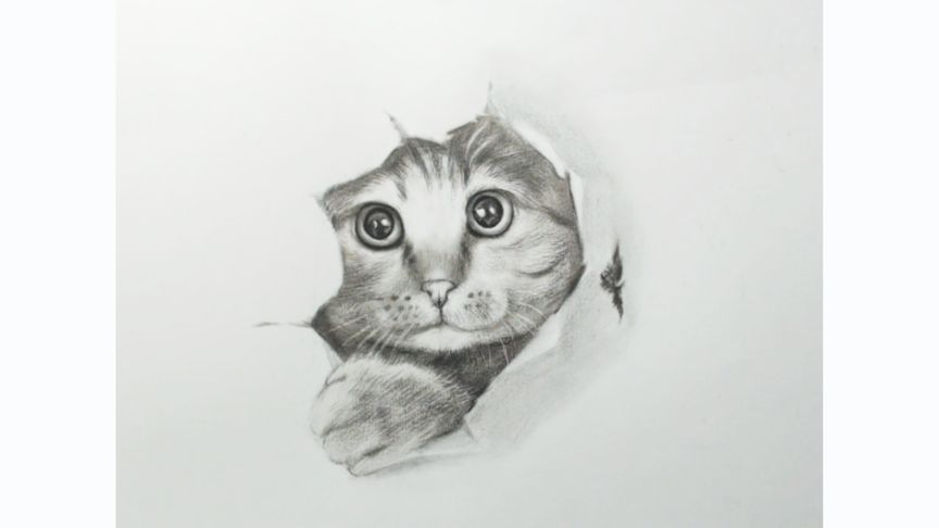素描动物最难画的是毛发?学会这一招,从此摆脱手残党