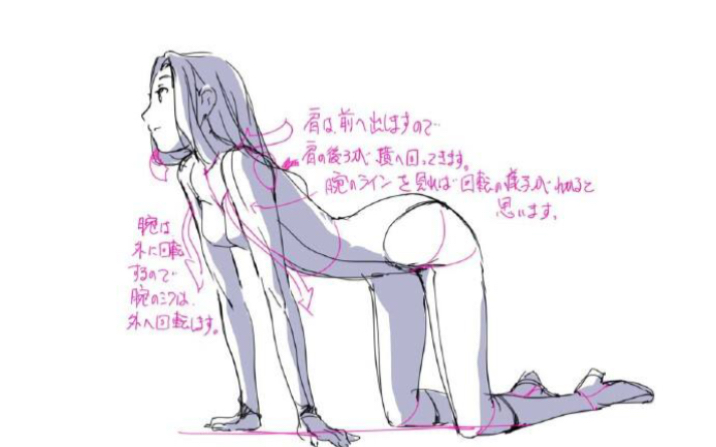 【漫画教程】论人体造型在人物创作中起到的重要性;人体局部解剖丶...