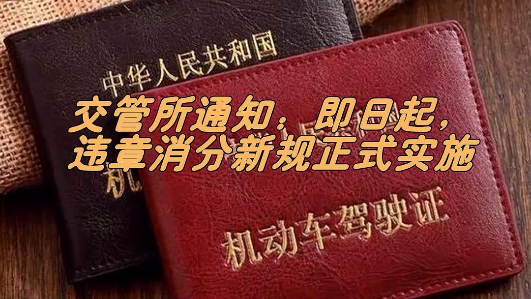 车管所:即日起,违章消分新规正式实施,别再傻傻打电话借分了