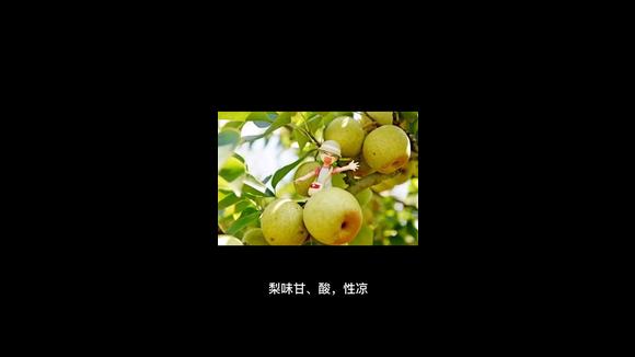 梨子的作用