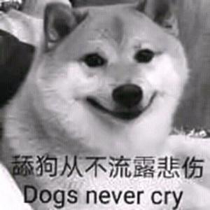 学无完止境 