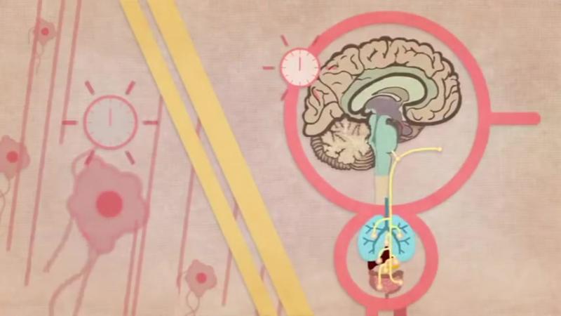 【动画科普:生病时的“痛苦感”从哪里来?】一场小小的感冒,带来一...