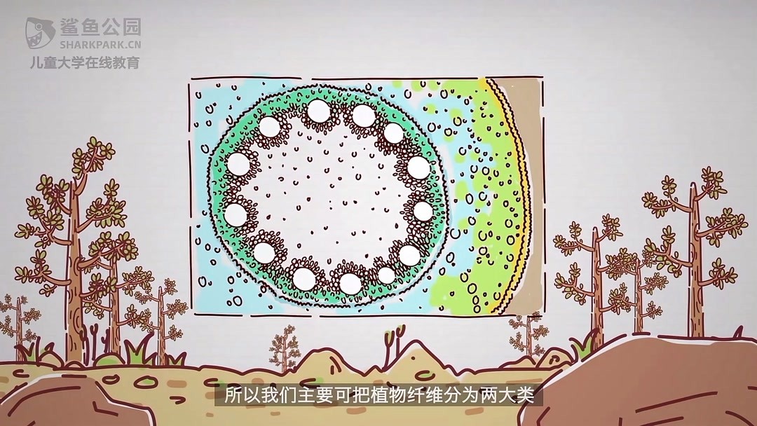鲨鱼公园儿童科普动画 第29集 纤维和造纸