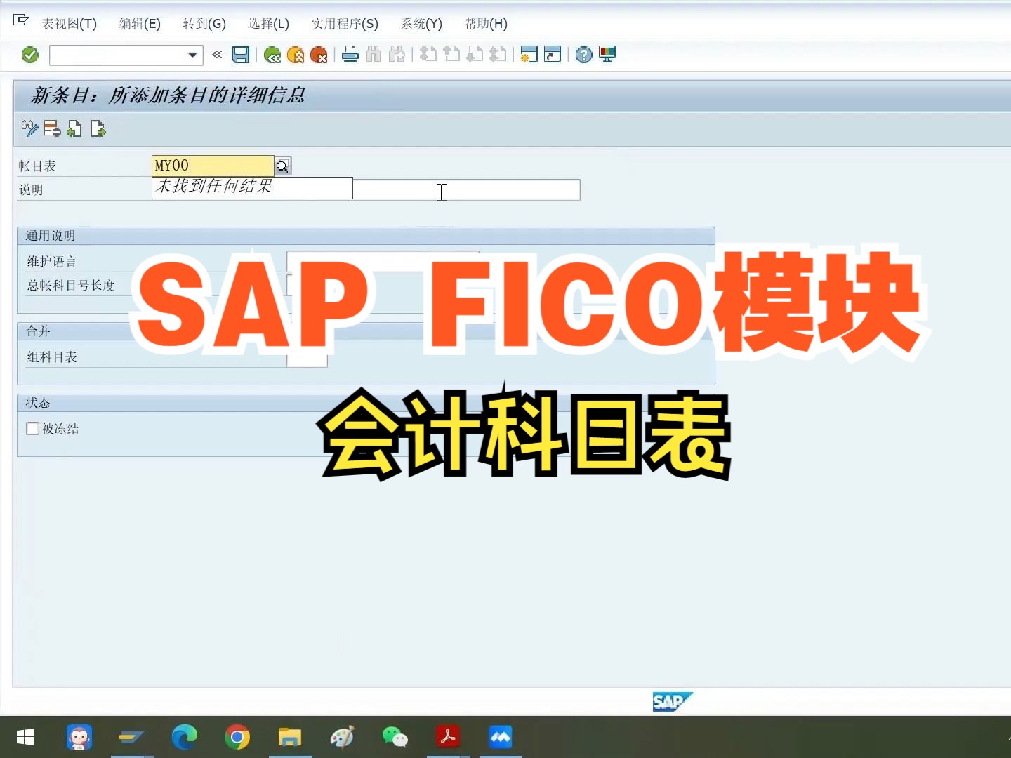 SAP FICO模块 会计科目表 SAP入门学习教程