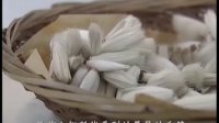 中国文房之宝 笔的历史 01