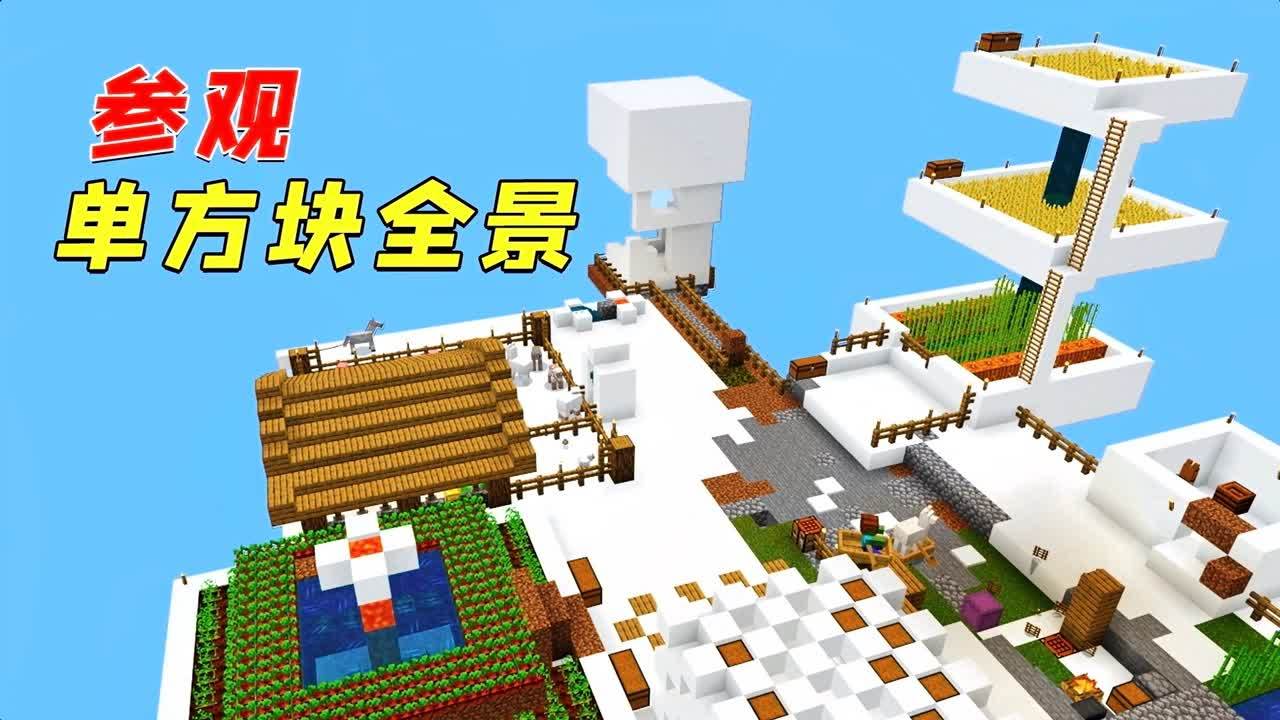 我的世界:单方块生存!翱游天空,带你畅享全景