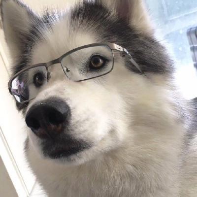 VisonCoder 