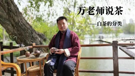 万老师说茶——白茶的分类