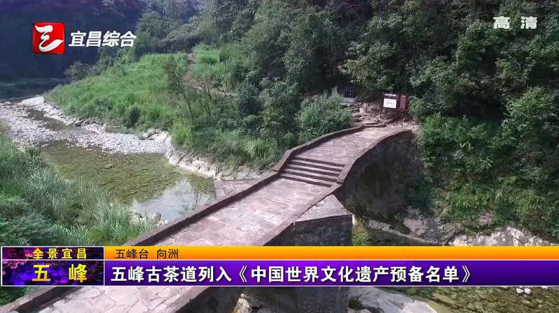 五峰古茶道列入《中国世界文化遗产预备名单》