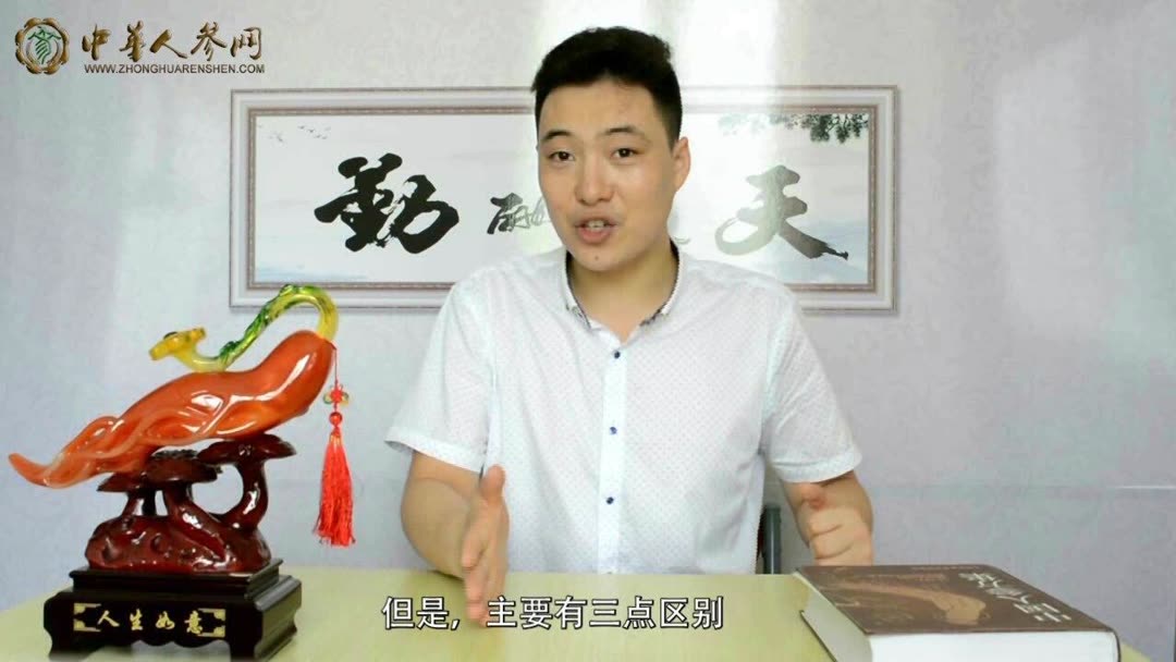 《人参处处皆学问》第二期揭秘人参的分类