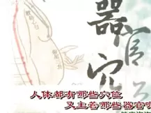 【中医推拿按摩视频 保健按摩教程】程凯-自助穴位按摩04-中脘穴(2)