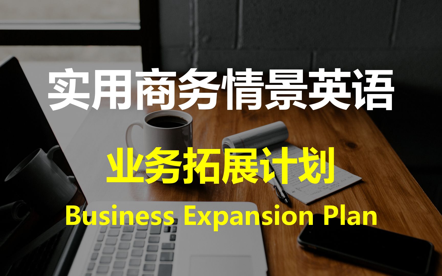 实用高频商务情景对话 业务扩展计划 (中英双语)| Business Expansion ...