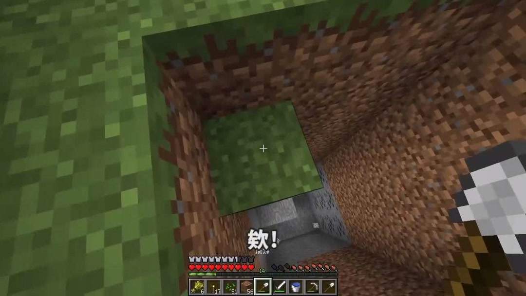 我的世界:突然长草了,有点可爱