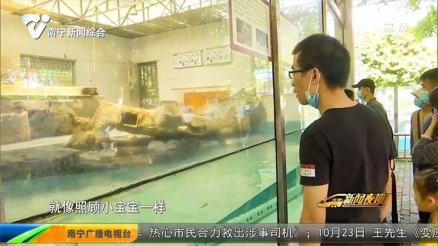 水生野生动物保护科普宣传月,保护水生野生动物,期待你我共参与