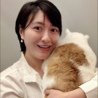 二师姐聊保险 