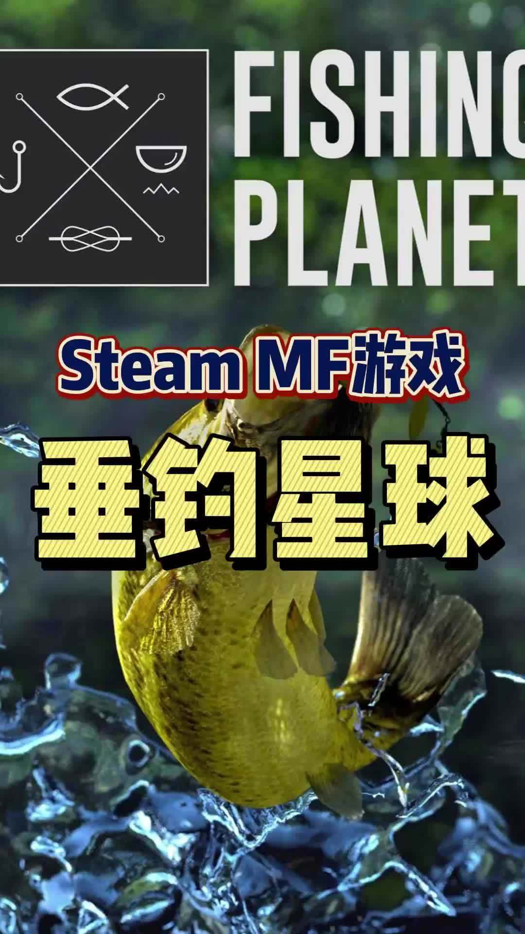 MF的在线多人钓鱼模拟器,还挺考验耐心的,感兴趣的朋友可以试试