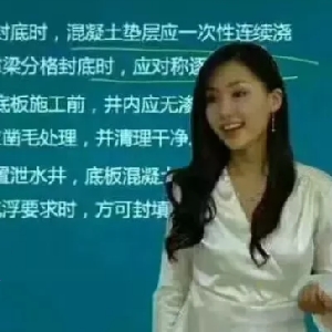 建造师女秘书 
