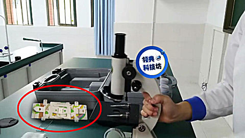 老外脑洞大开,用纸打造最低成本的显微镜,拥有它你就可以随时随地做...