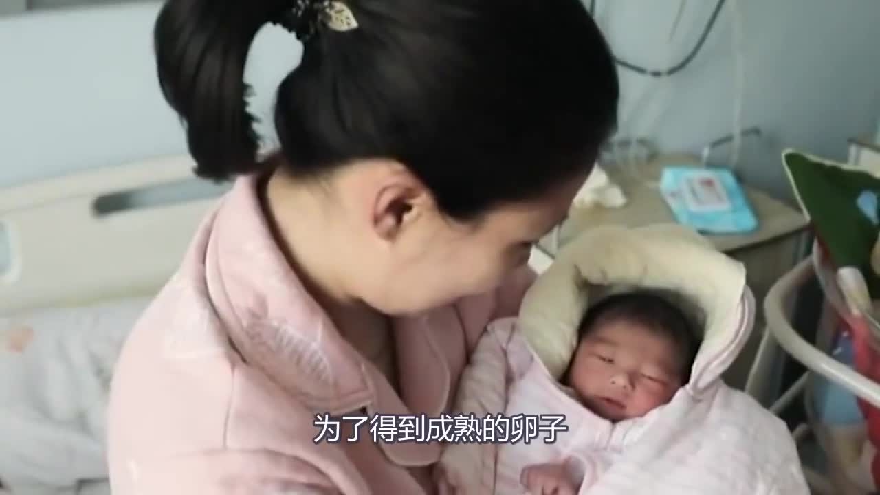 试管婴儿手术到底有多疼?镜头揭示全过程,看完向母亲致敬