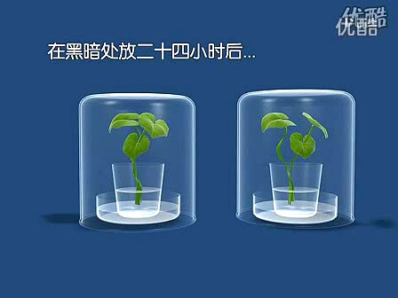 初中生物3D视频光合作用吸收二氧化碳