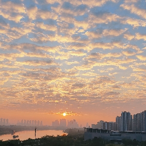 玩路赏景红树林 