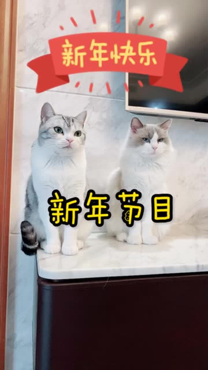 没什么好说的,给大家表演个才艺吧