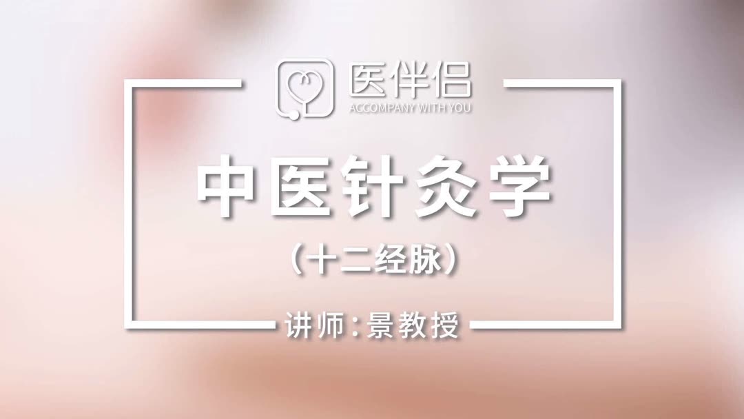 中医针灸学-十二经脉(第六讲)-医伴侣APP公开课