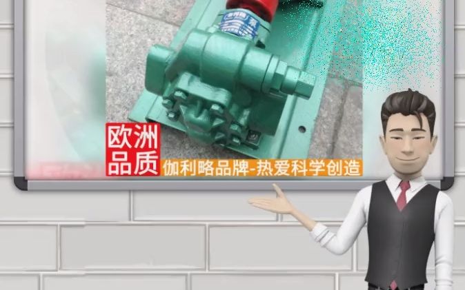 柴油车测绘查叉车输高粘度轮防爆磁力不锈钢油高压齿轮泵