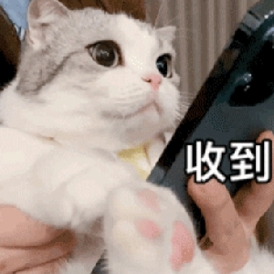 曾维佳啊啦啦啦