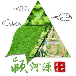 颍河源桑蚕基地 