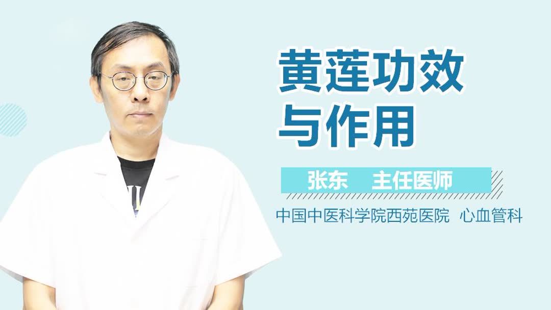 哑巴吃黄连有苦说不出中的黄连有什么功效?#健康知多少#