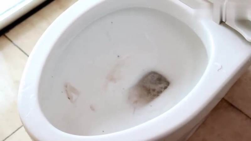 马桶万一堵住,3种方法都能快速疏通好,别白白花上百元请人掏