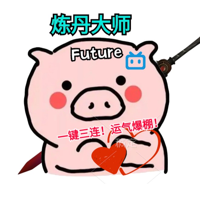 AI算法工程师Future 