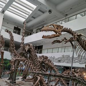 武汉数学陈老师 