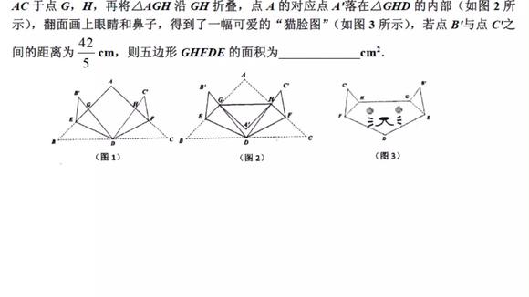 中考数学压轴题解题方法,等腰直角三角形的性质,勾股定理,相似