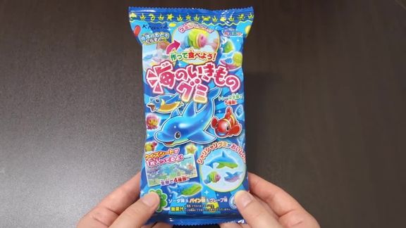 日本知育果子食玩玩具 海洋动物模型食玩